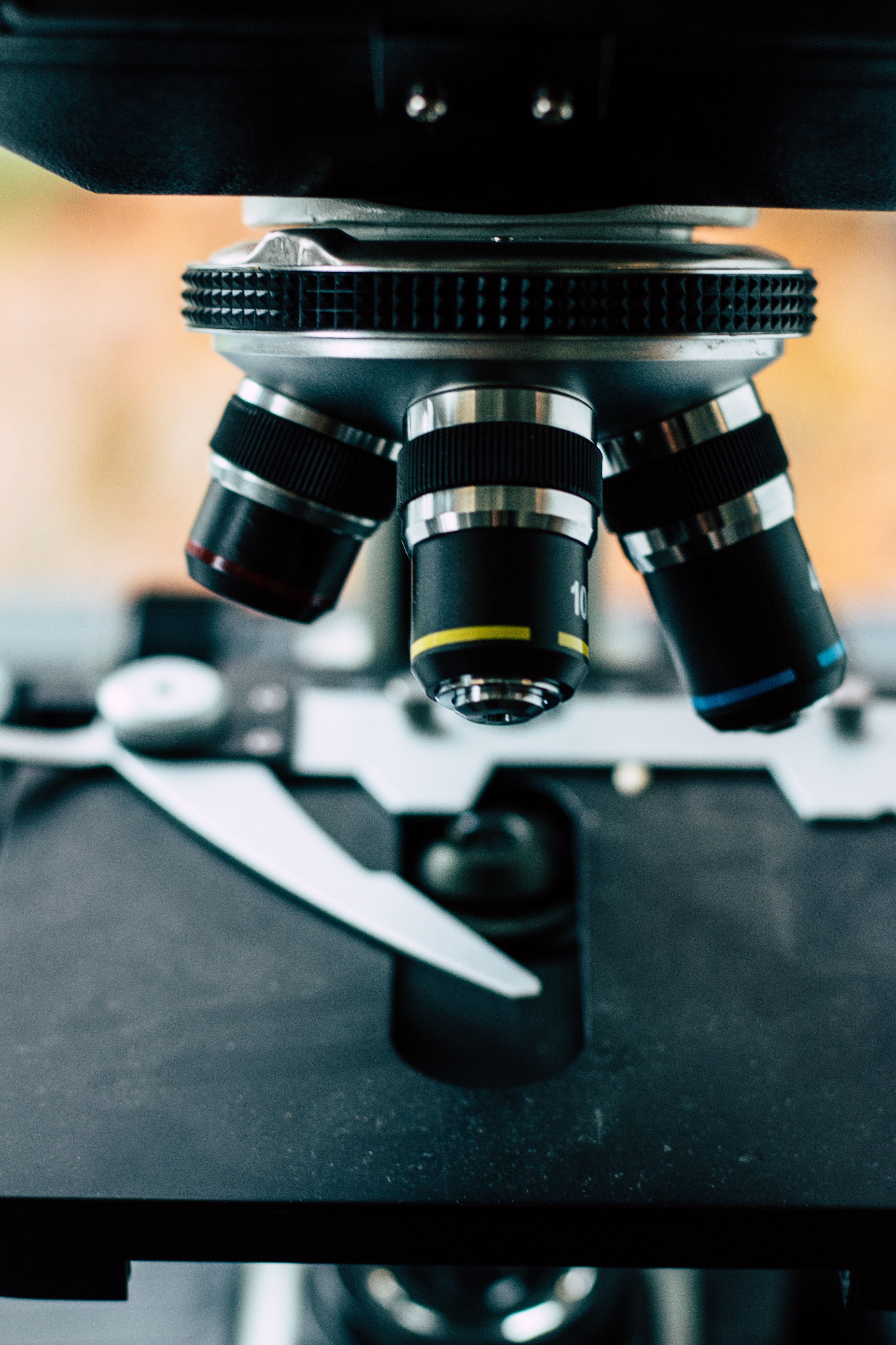 Collections – Better Biology